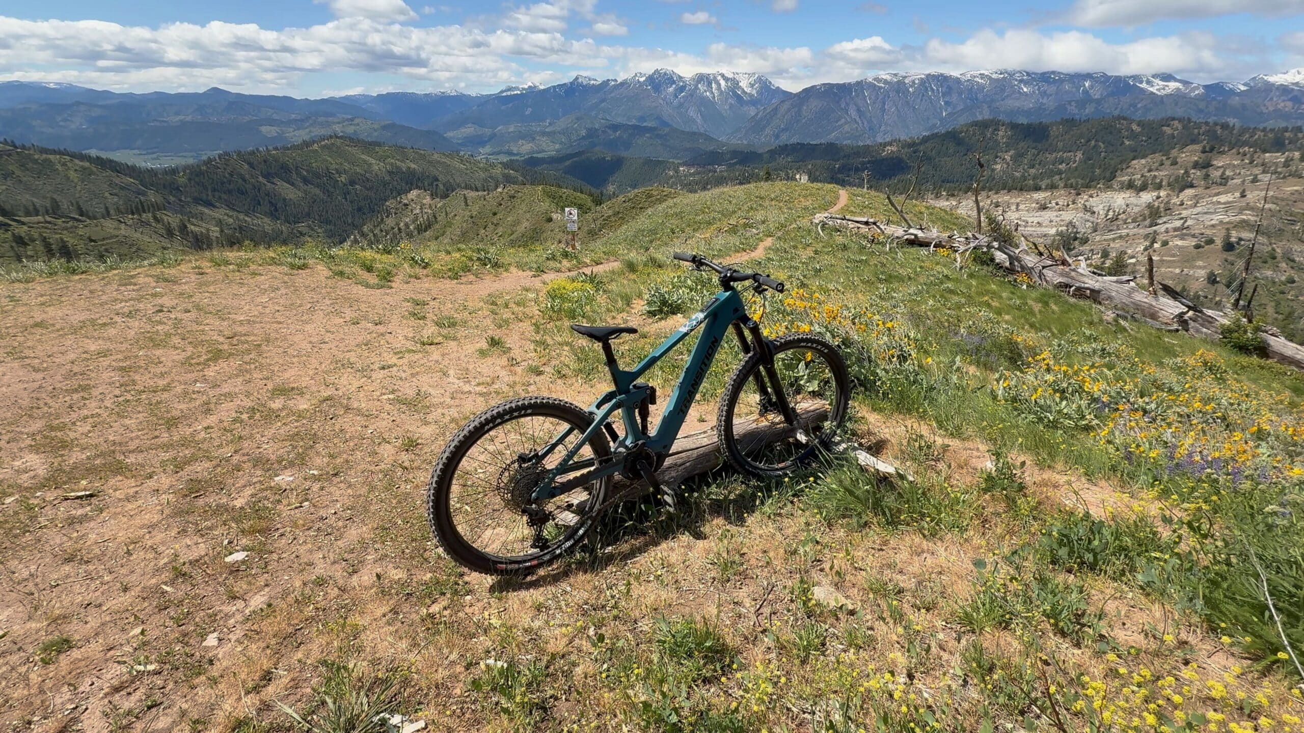 Transition Regulator CX REVIEW - The Vantastic Life